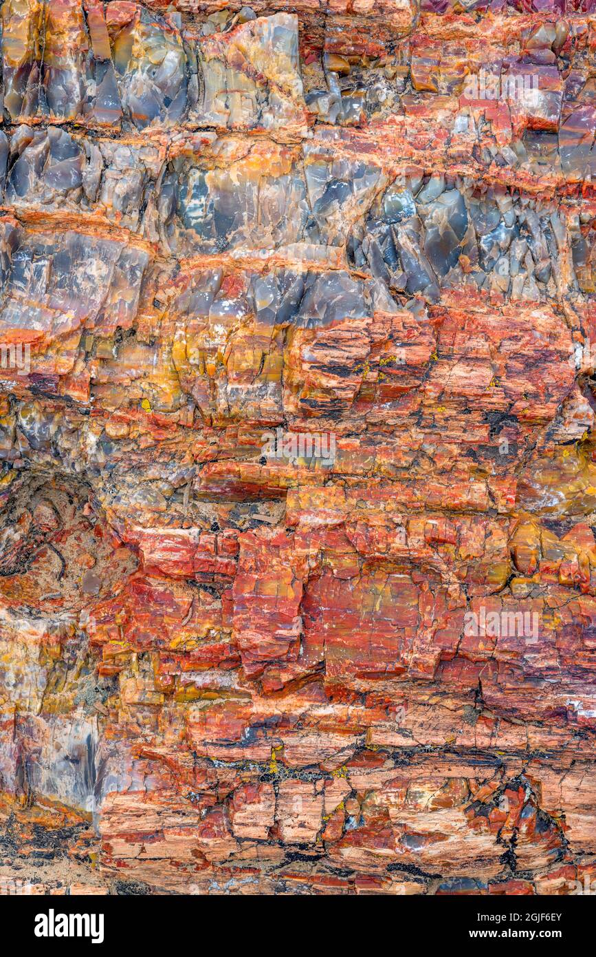 USA, Utah, Escalante Petrified Forest State Park, Colorful remains of ...