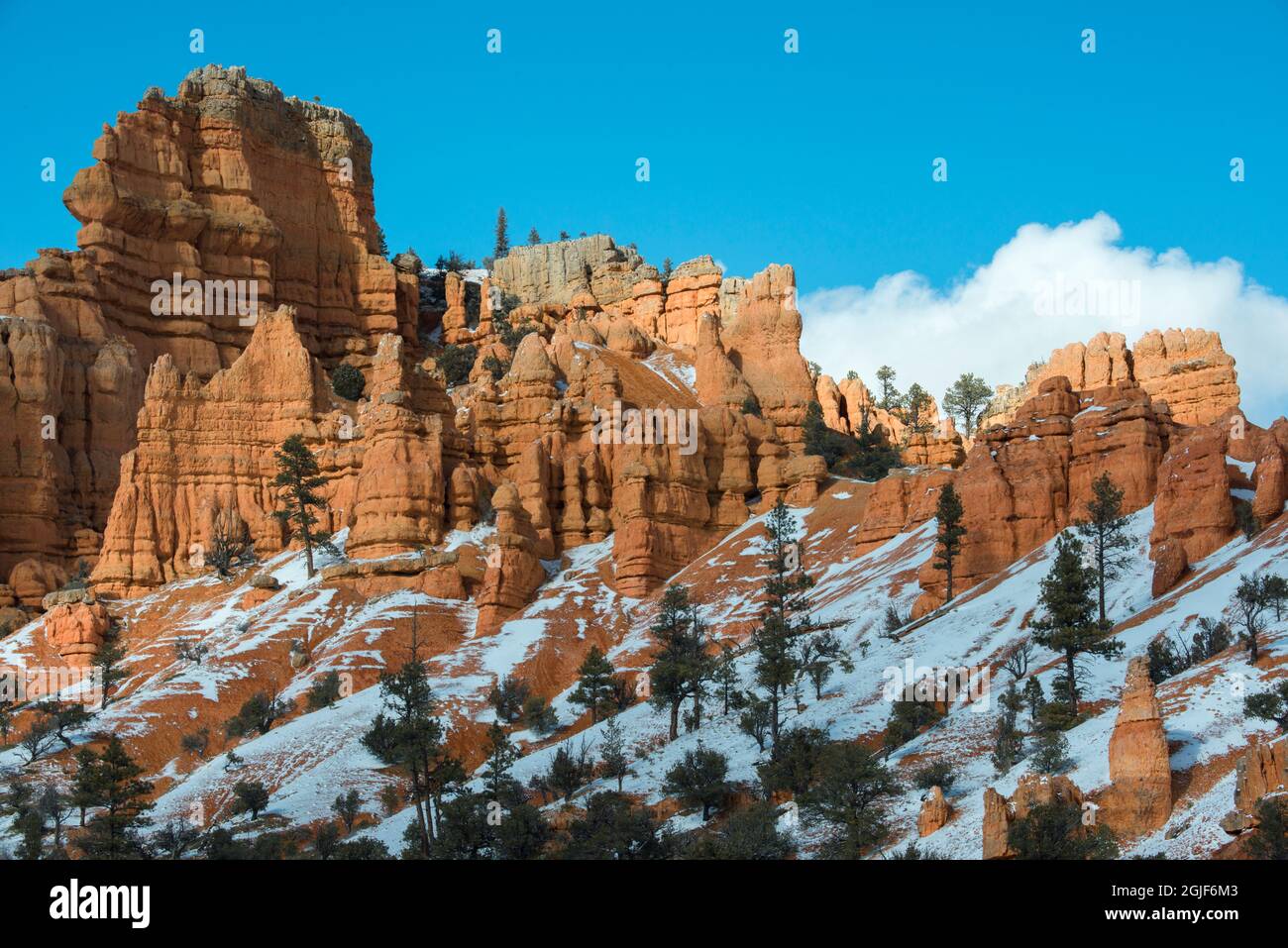 USA, Utah. Spring snow in Red Canyon, Dixie National Forest Stock Photo ...