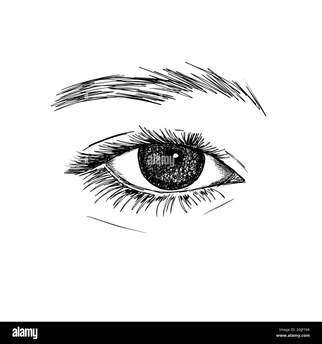 Handmade eye shading. Vector illustration Stock Vector Image & Art - Alamy