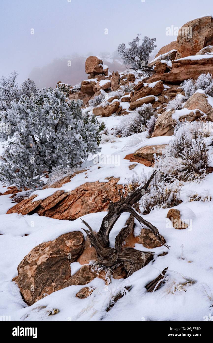 USA, Utah. Desert snow and fog, Island in the Sky, Canyonlands National ...