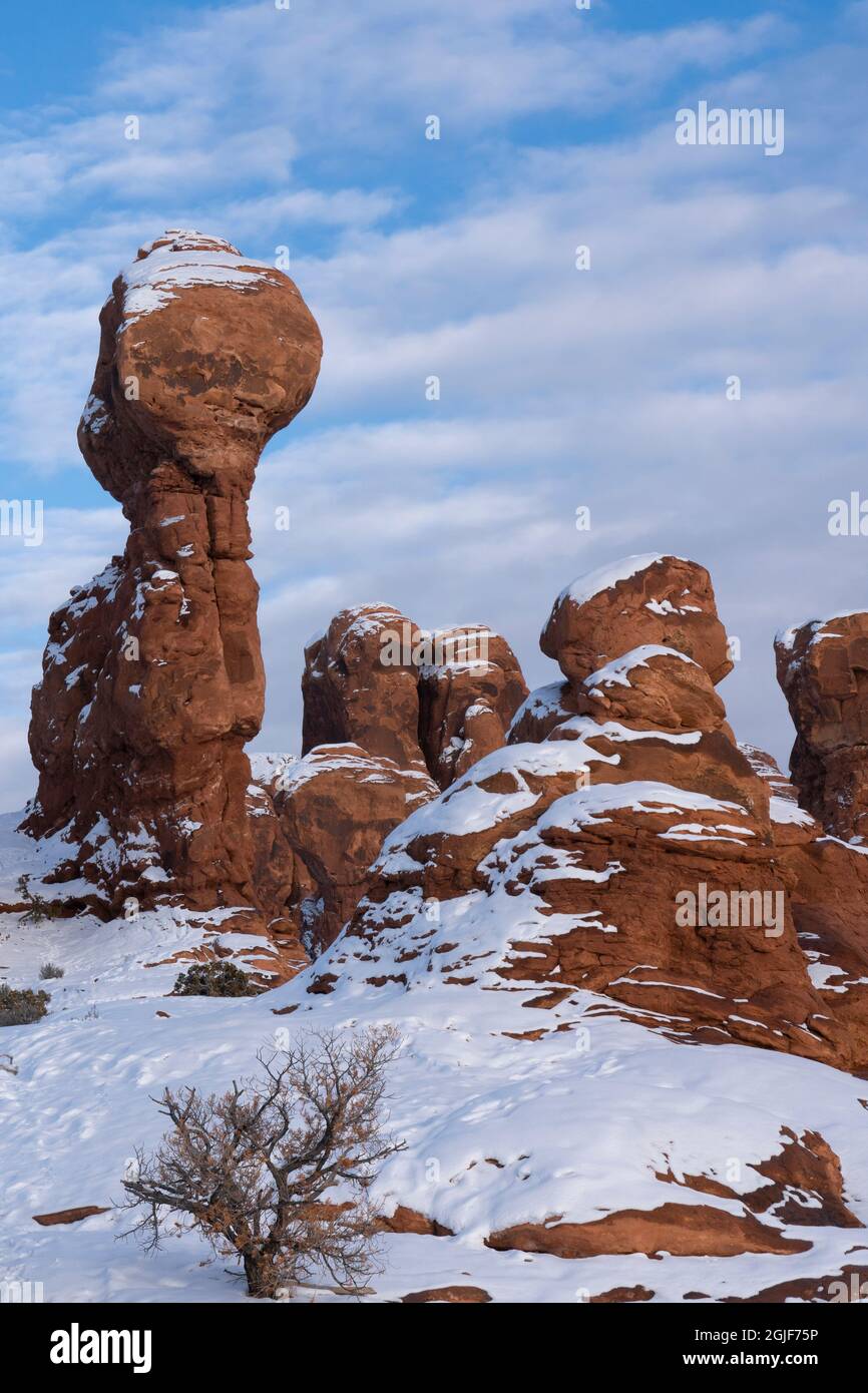 USA, Utah. Spires in the snow, Garden of Eden, Arches National Park ...