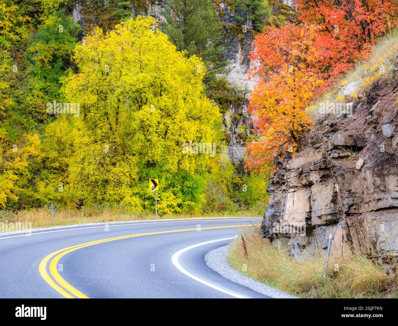 USA, Utah, Logan Pass and highway 89 fall color with Aspen and Maple ...