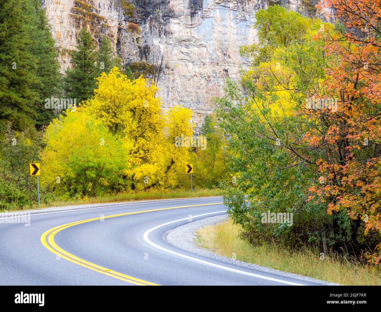 USA, Utah, Logan Pass and highway 89 fall color with Aspen and Maple ...
