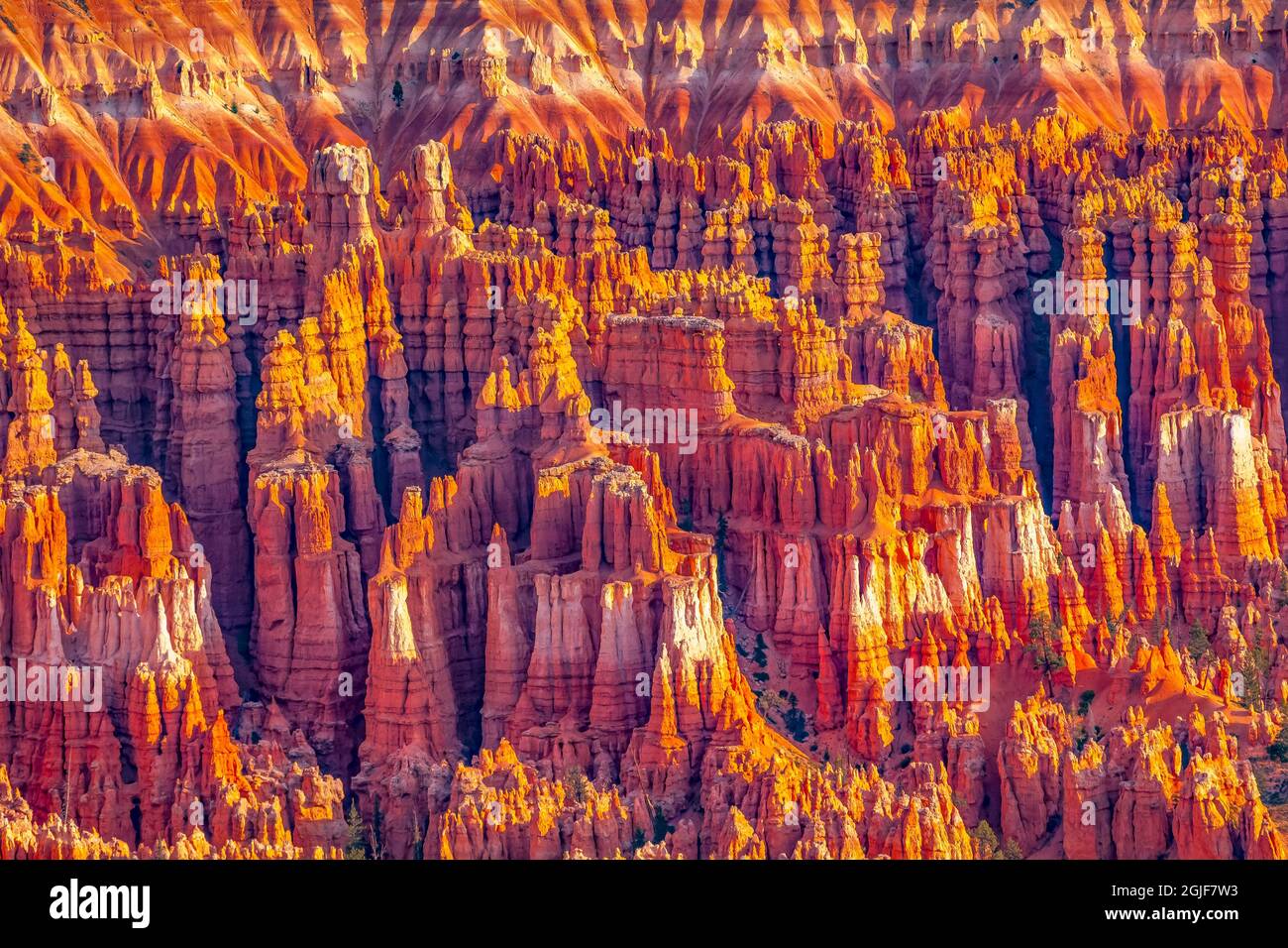 Amphitheater Hoodoos, Bryce Canyon National Park, Utah Stock Photo - Alamy