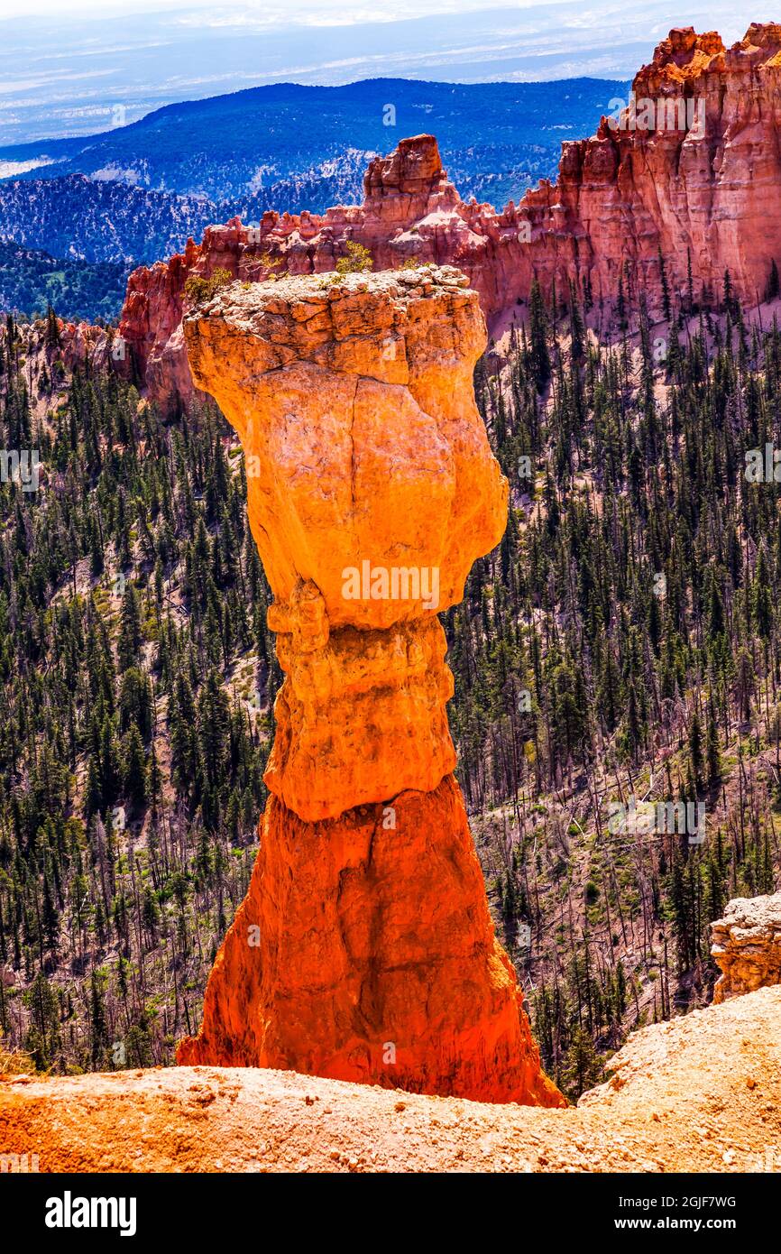 Thor's Hammer Hoodoo, Bryce Point, Bryce Canyon National Park, Utah ...