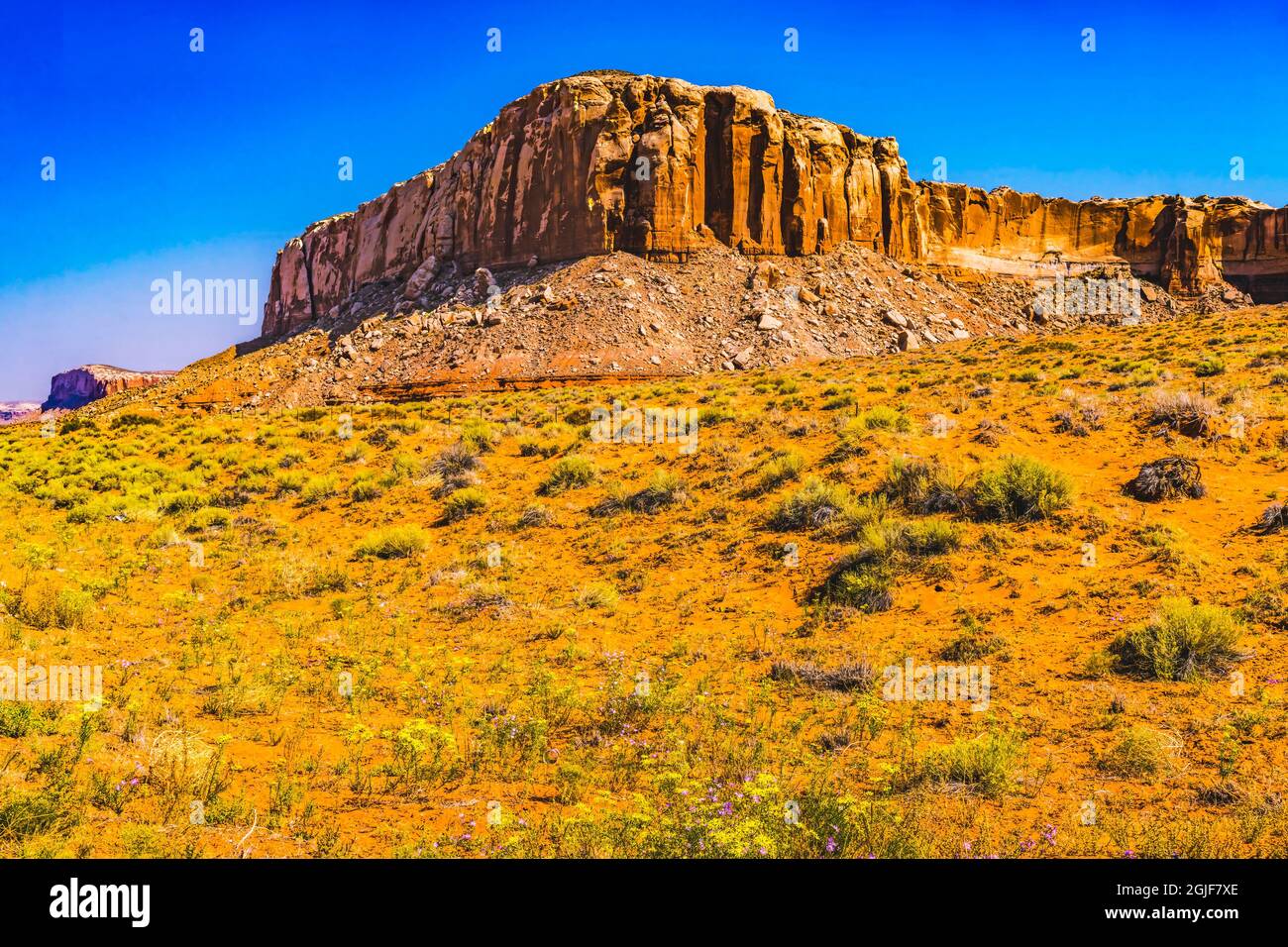 Colorful yellow daisies wildflowers, Monument Valley, Utah Stock Photo ...