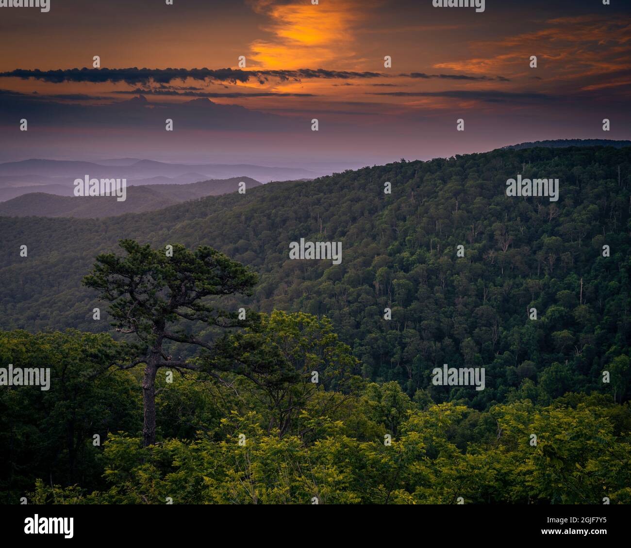 USA, Virginia, Shenandoah National Park. Overview of forested landscape ...