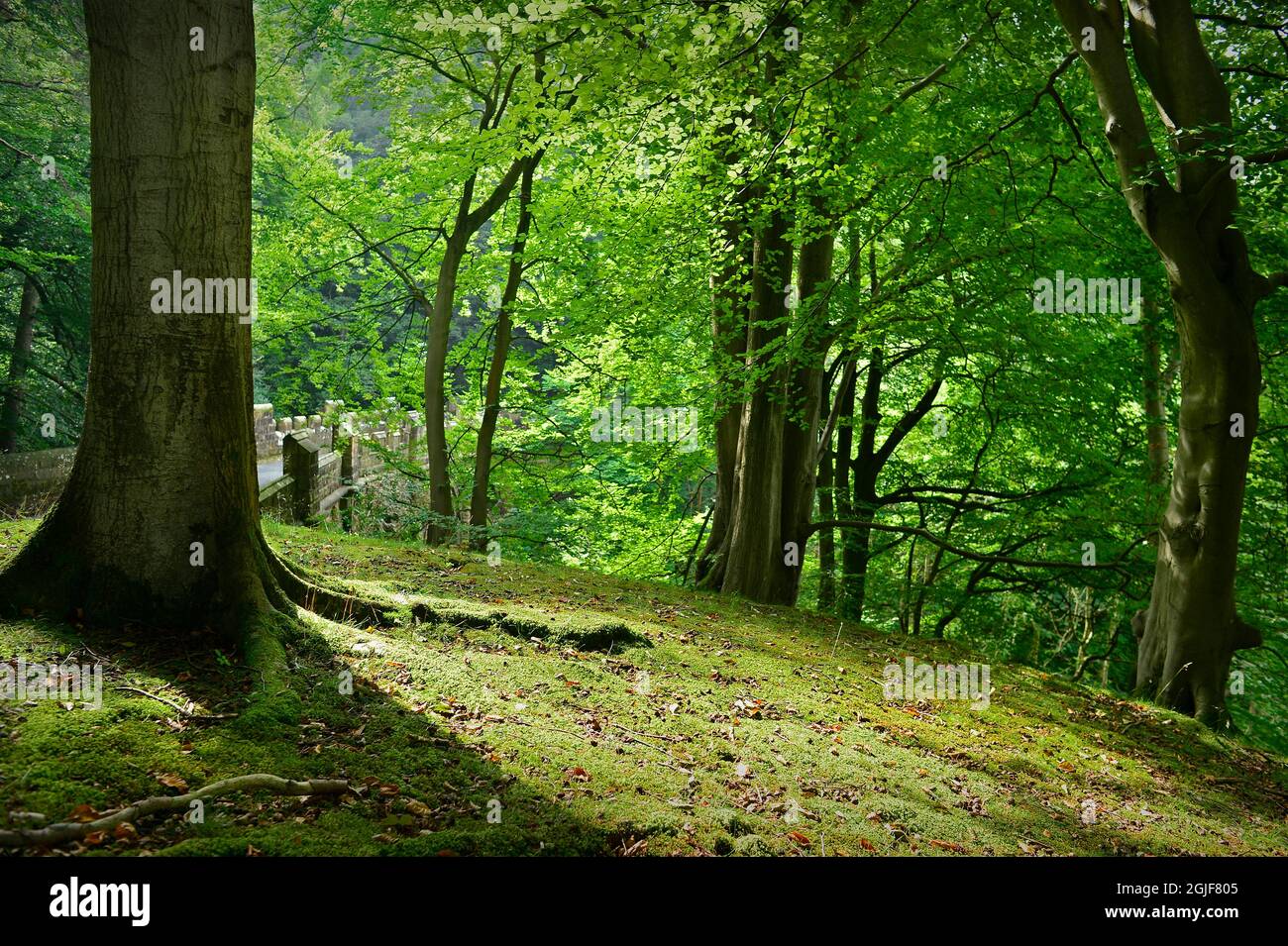Swinton estate hi-res stock photography and images - Alamy