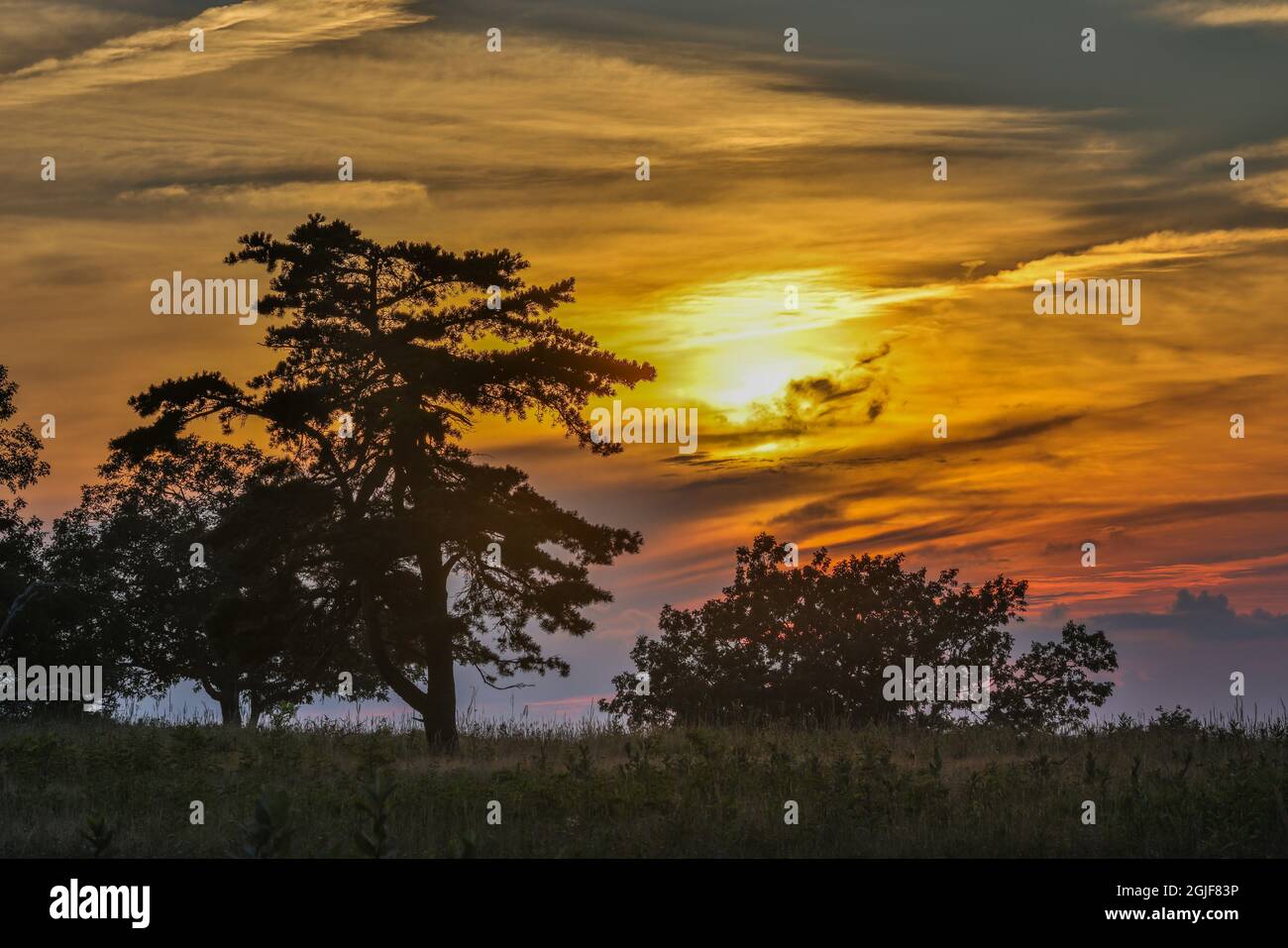 Rapidan fire road hi-res stock photography and images - Alamy