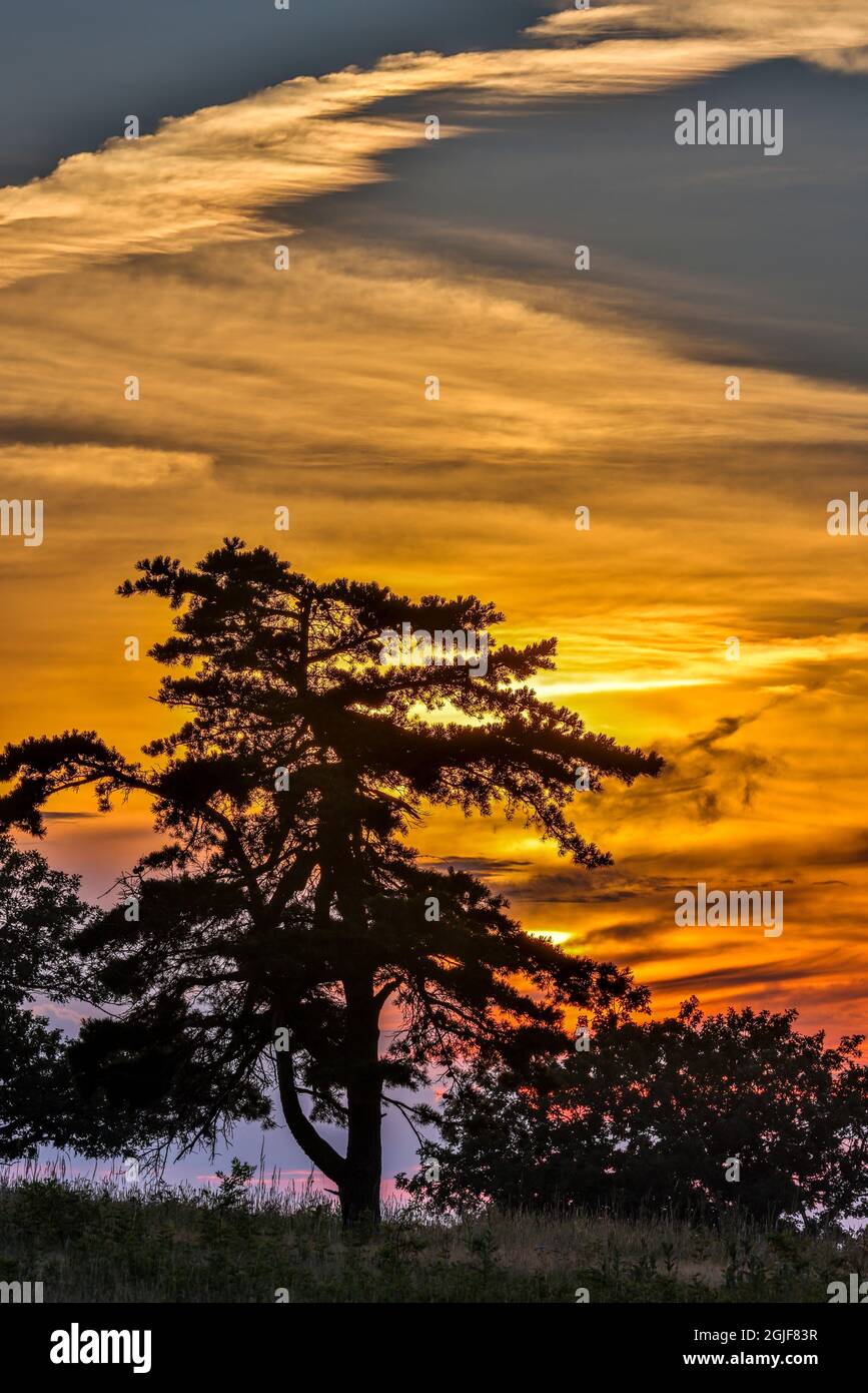 Rapidan fire road hi-res stock photography and images - Alamy