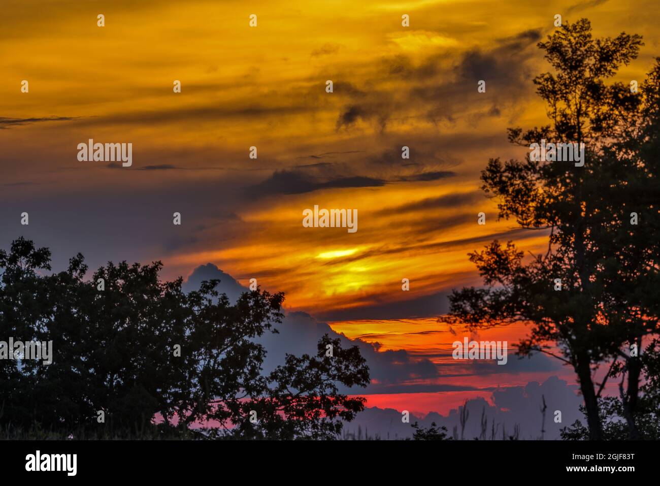 Rapidan fire road hi-res stock photography and images - Alamy