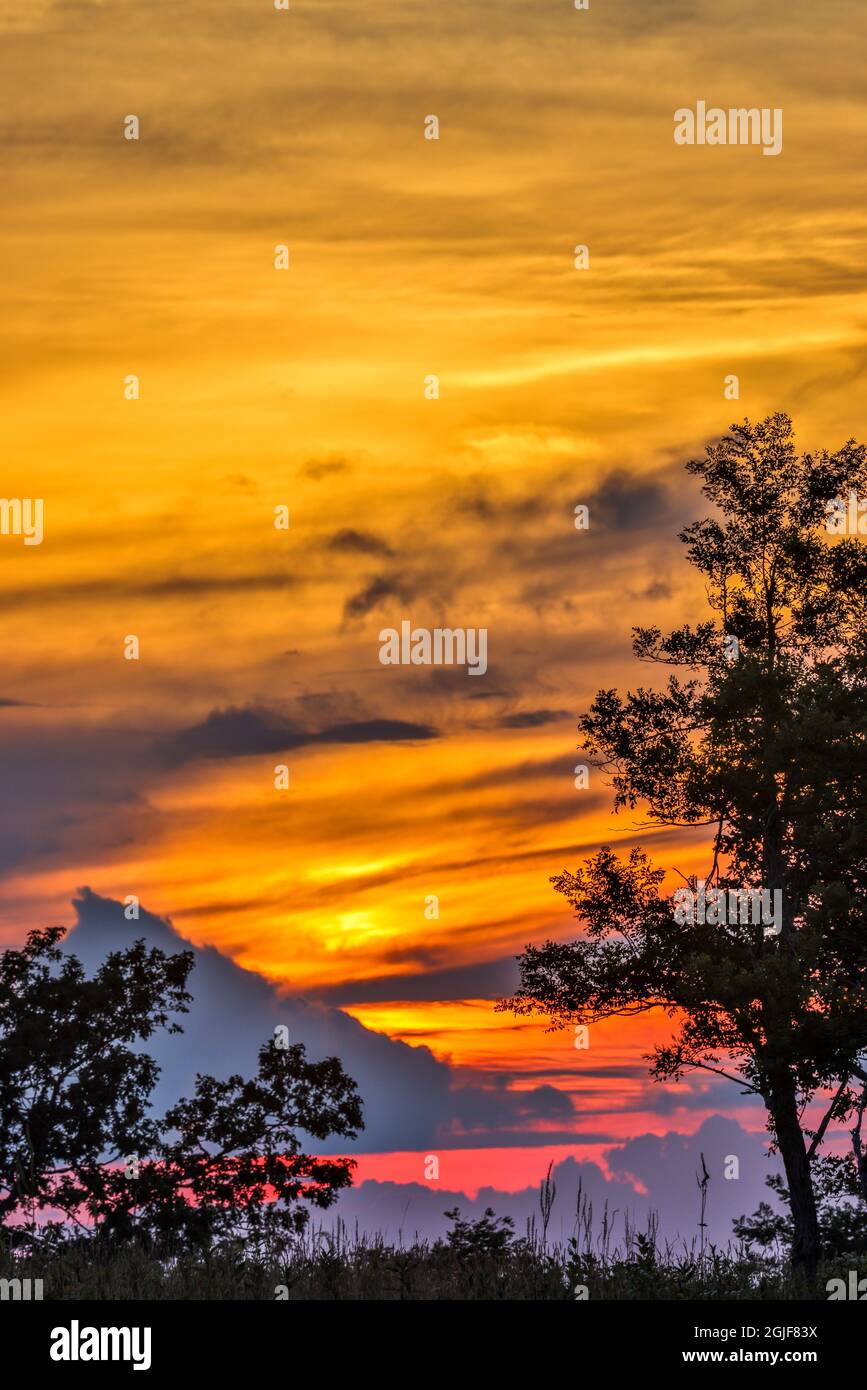 Rapidan fire road hi-res stock photography and images - Alamy