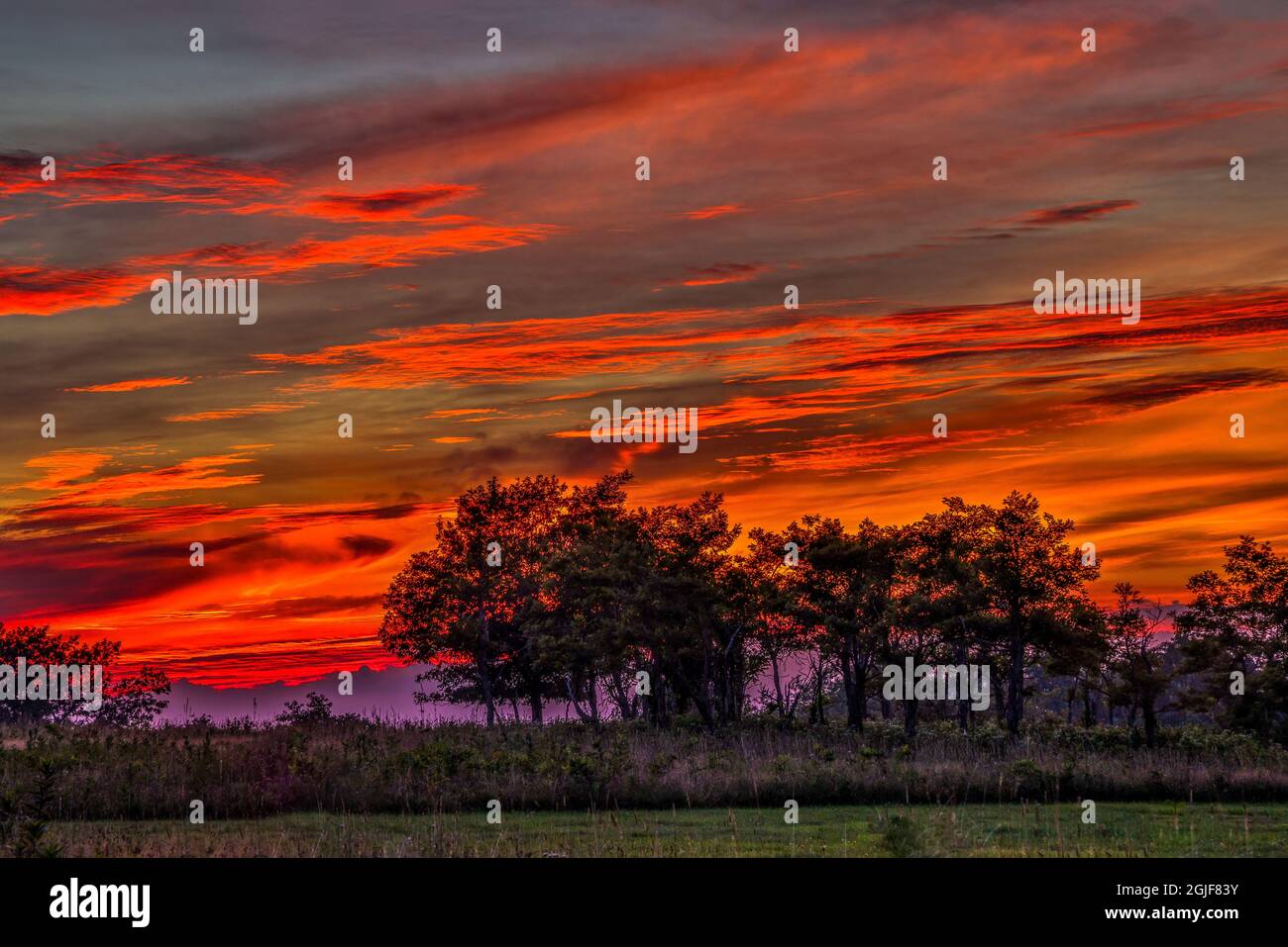 Rapidan fire road hi-res stock photography and images - Alamy