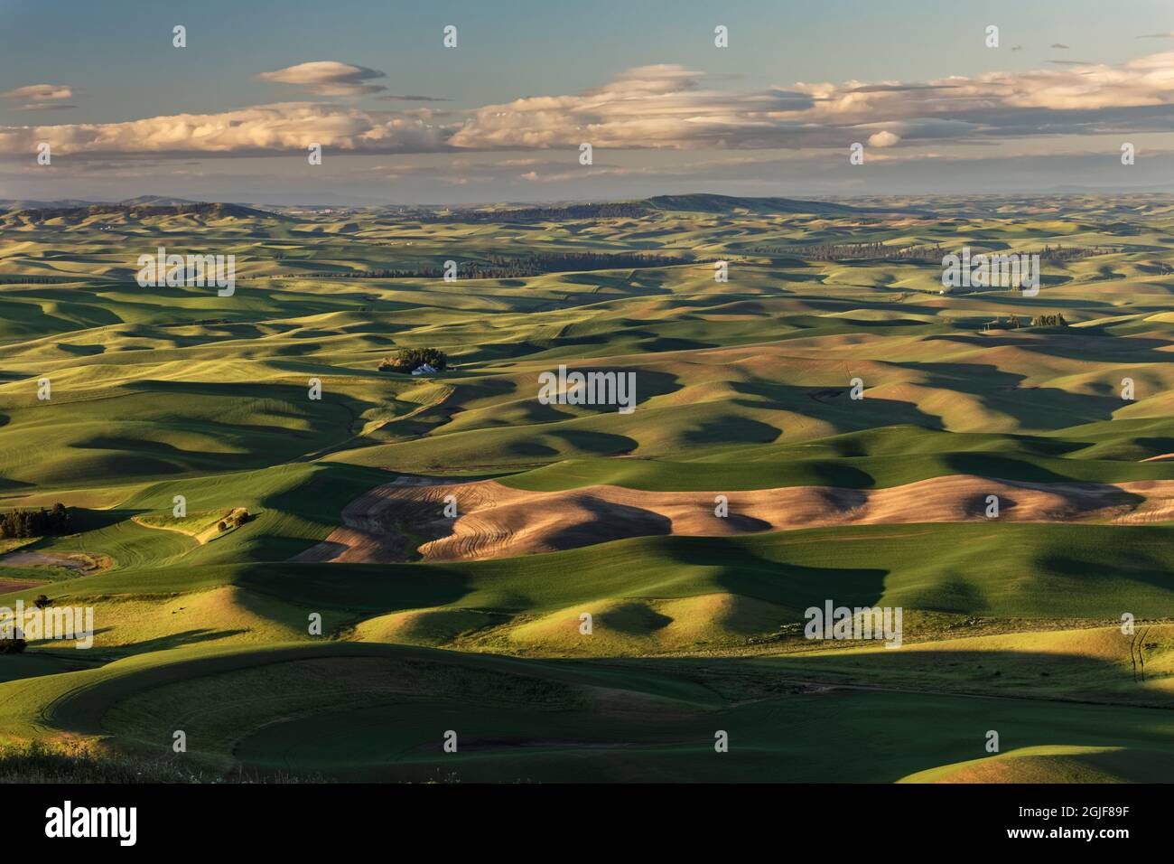 Pattern in rolling hills of the Palouse agricultural region of Eastern ...