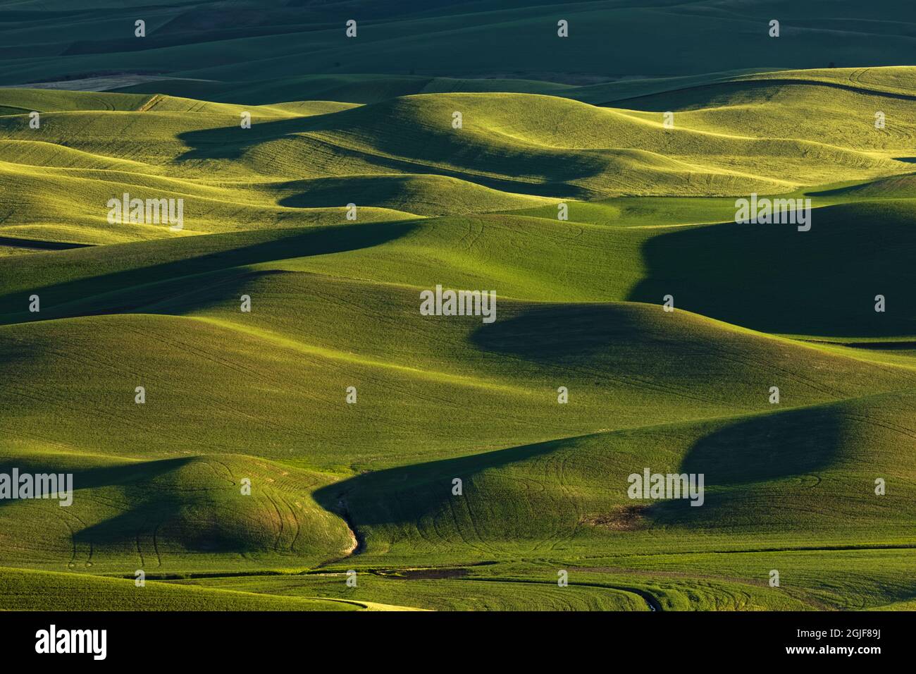 Pattern in rolling hills of the Palouse agricultural region of Eastern ...