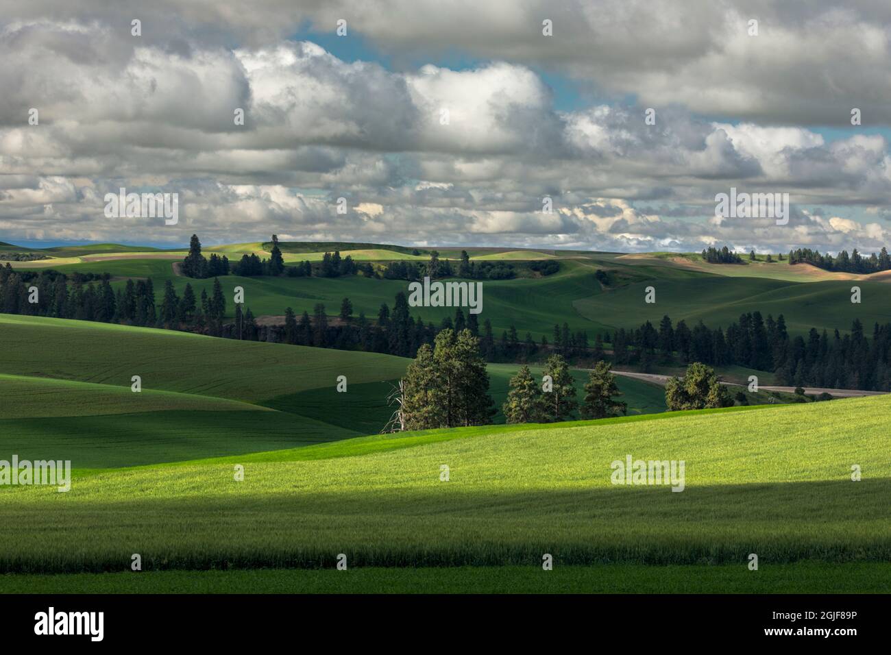 Pattern in rolling hills of the Palouse agricultural region of Eastern ...
