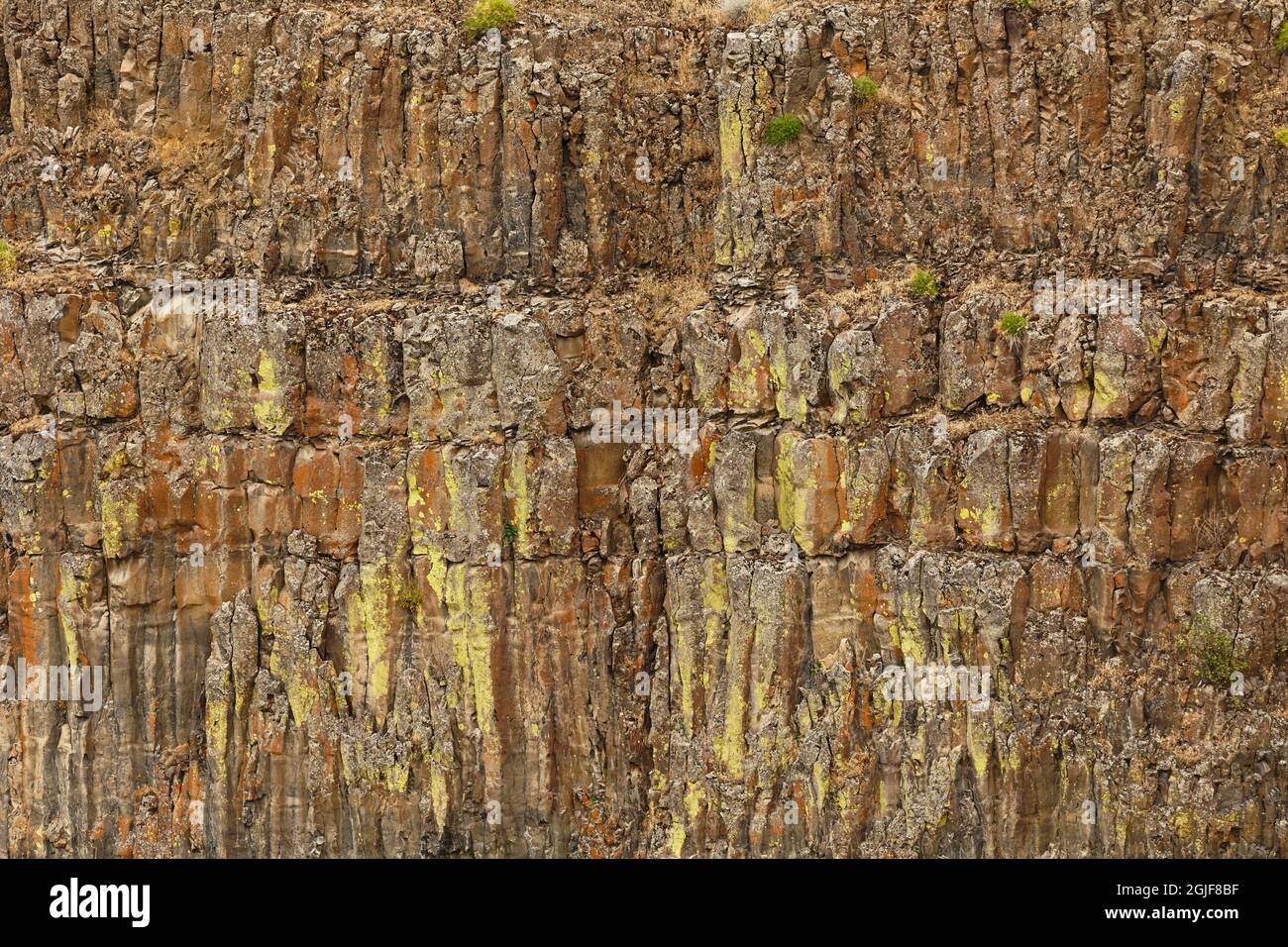 Pattern on basalt cliffs, Palouse Falls State Park, Franklin, Whitman ...