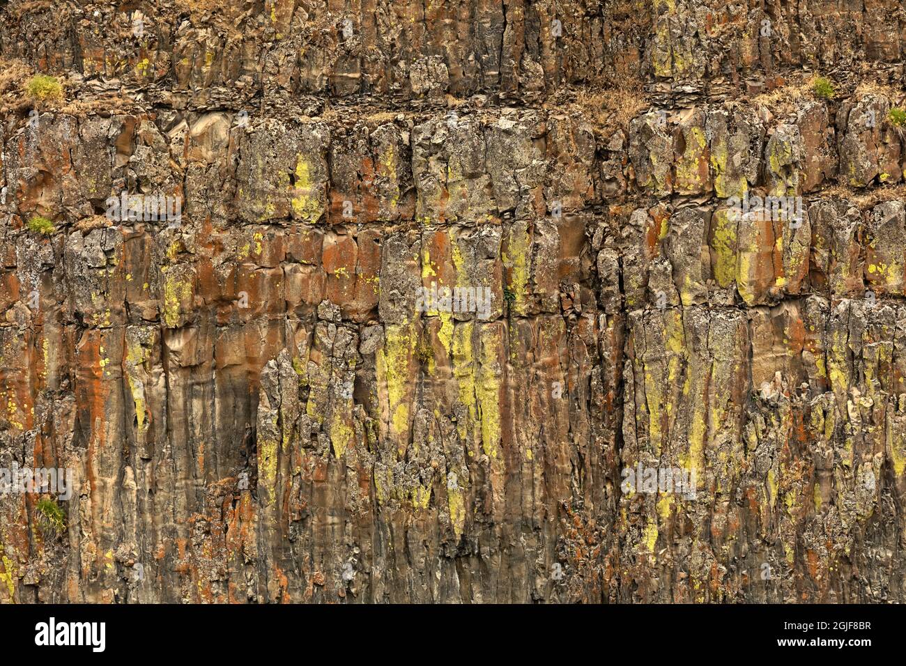 Pattern on basalt cliffs, Palouse Falls State Park, Franklin, Whitman ...