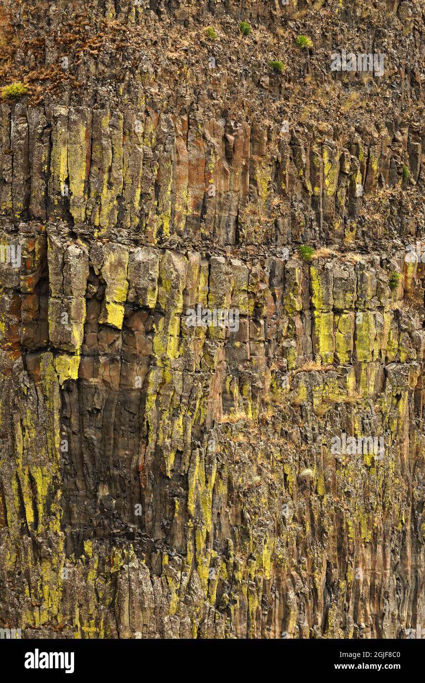 Pattern on basalt cliffs, Palouse Falls State Park, Franklin, Whitman ...