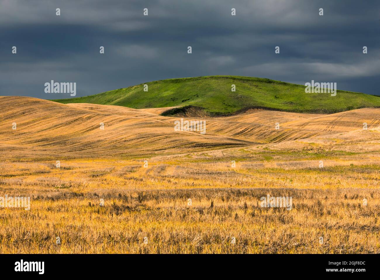 Fallow field and storm clouds, Palouse, eastern Washington Stock Photo ...