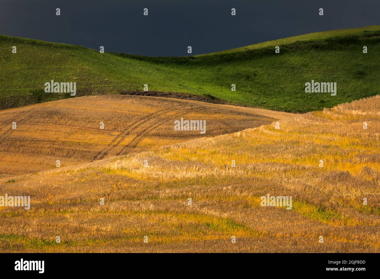 Field storm clouds hi-res stock photography and images - Alamy