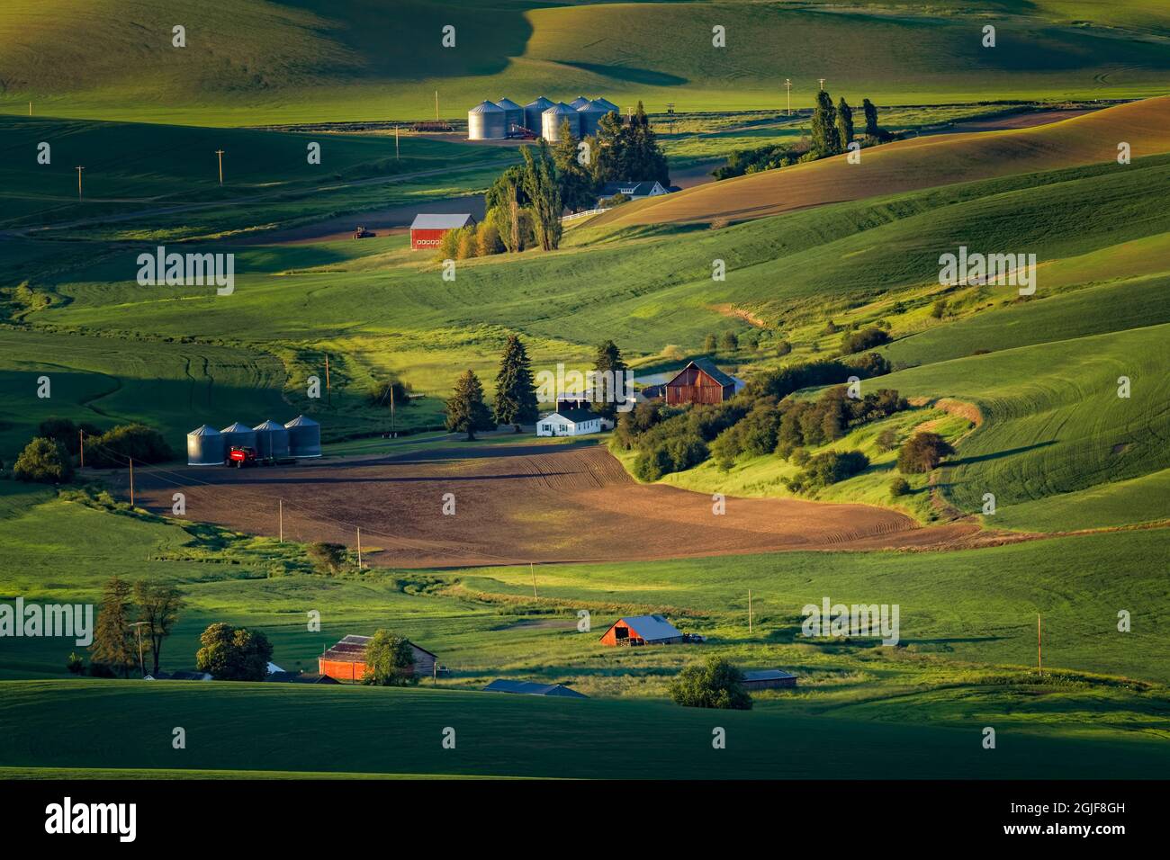 Idyllic farmstead at sunrise among the rolling wheat fields of the ...