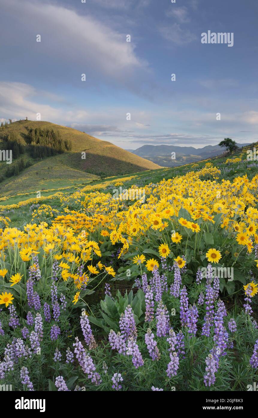 Methow valley hi-res stock photography and images - Alamy