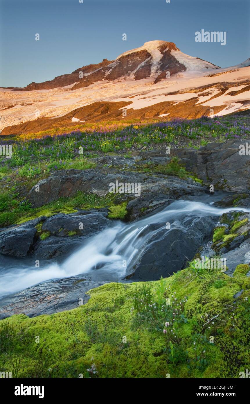 USA, Washington State. Mount Baker (elevation 10,778 feet, 3,285 m ...