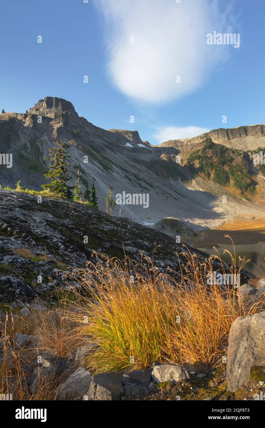 Heather Meadows in autumn. Table Mountain is in the distance. Heather ...