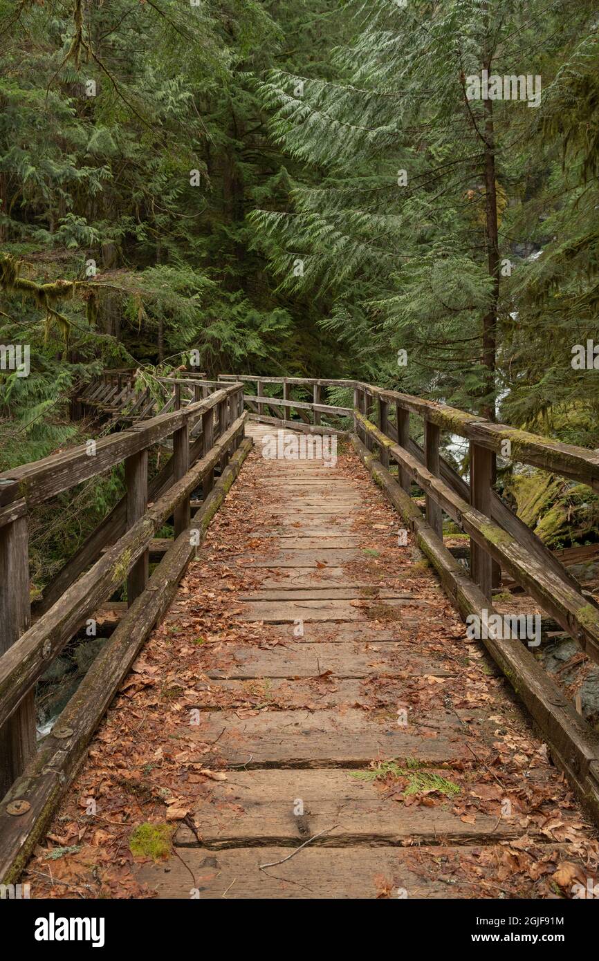 Hiker register kiosk at Baker Lake Trailhead, North Cascades ...