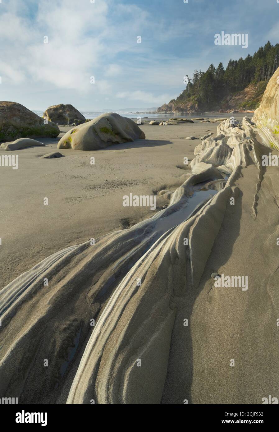 Sandstone rocks, Kalaloch Beach Olympic National Park, Washington State ...