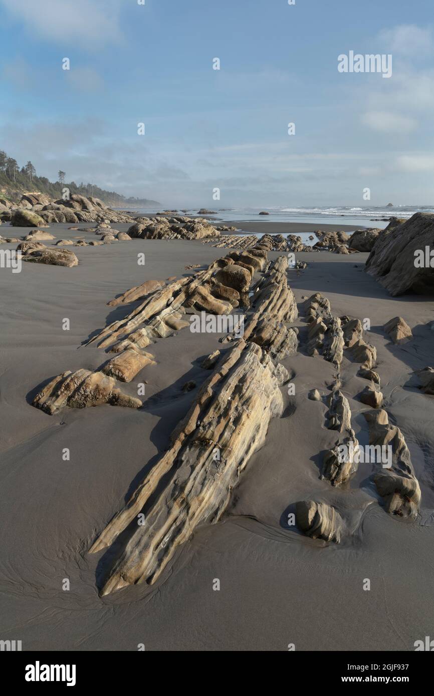 Kalaloch beach olympic national park hi-res stock photography and ...