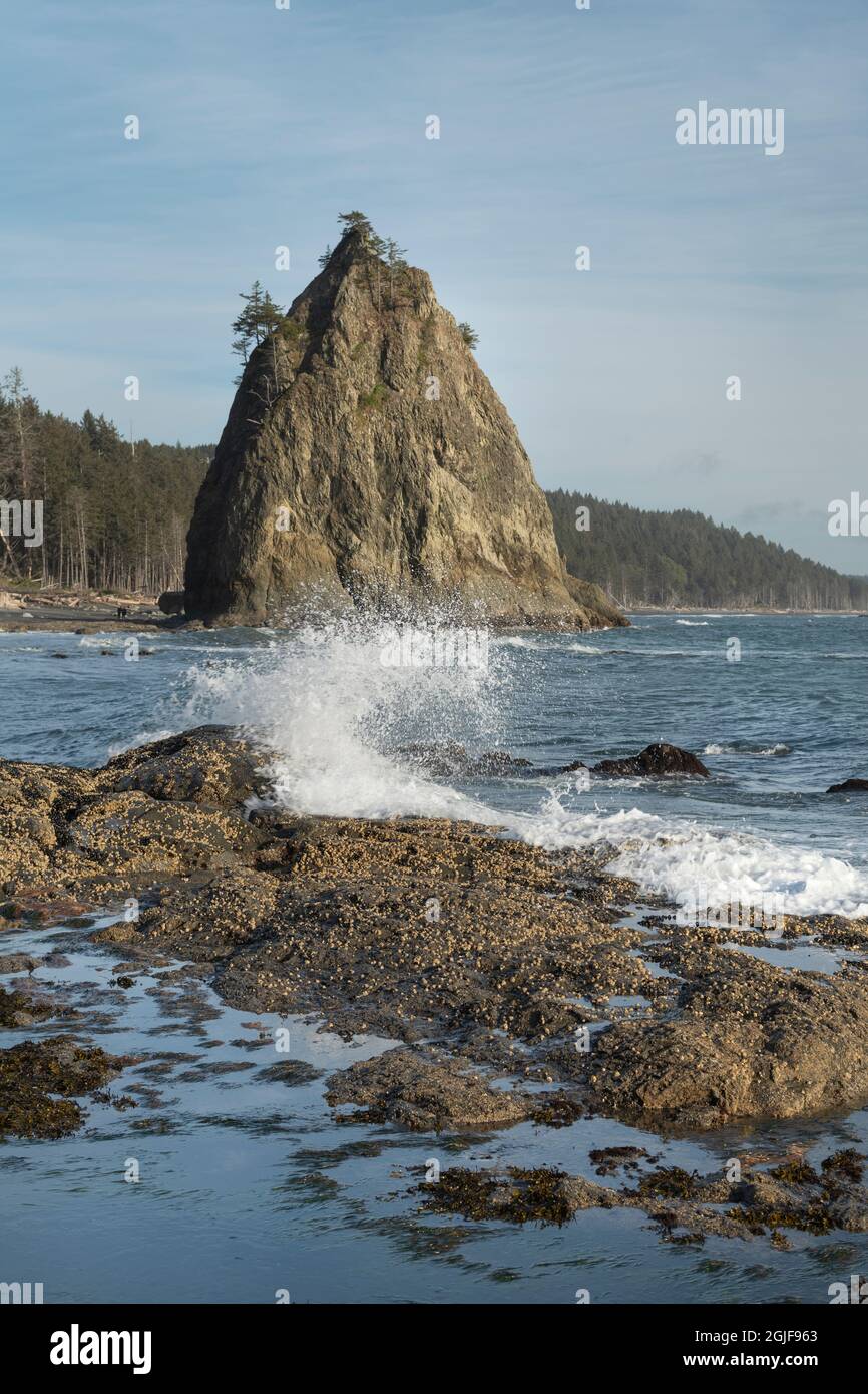 Split rock rialto beach hi-res stock photography and images - Alamy