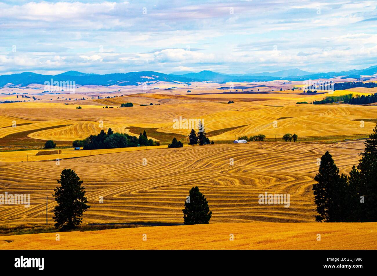 Kamiak butte hi-res stock photography and images - Alamy