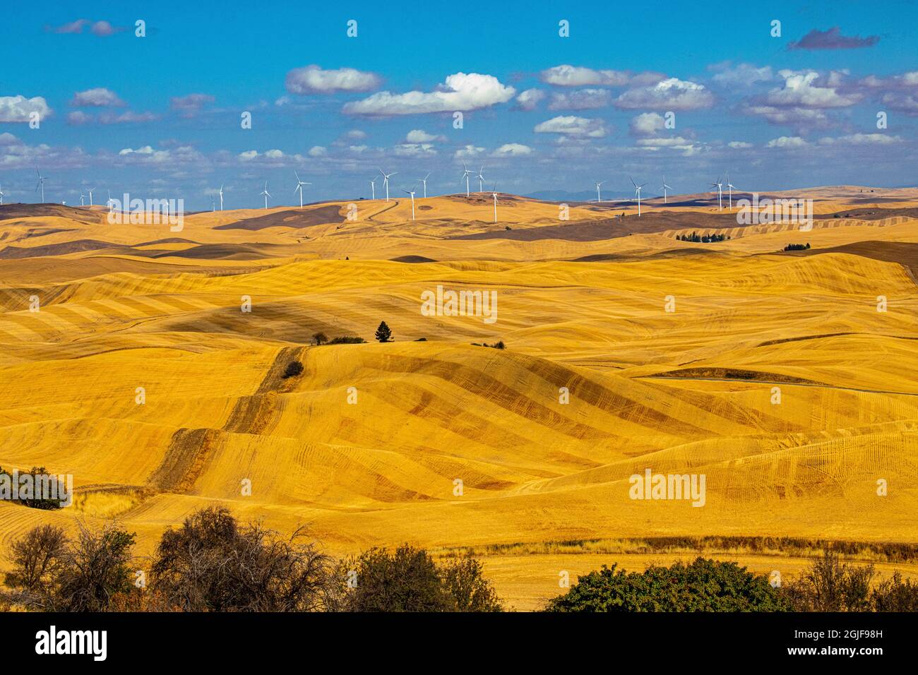 USA, Washington State, The Palouse, from Steptoe Butte, wheat fields ...