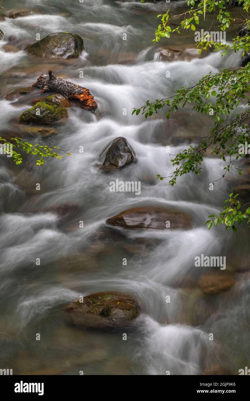 USA, Washington State, Olympic National Park. Dungeness River rapids. Credit as: Don Paulson ...