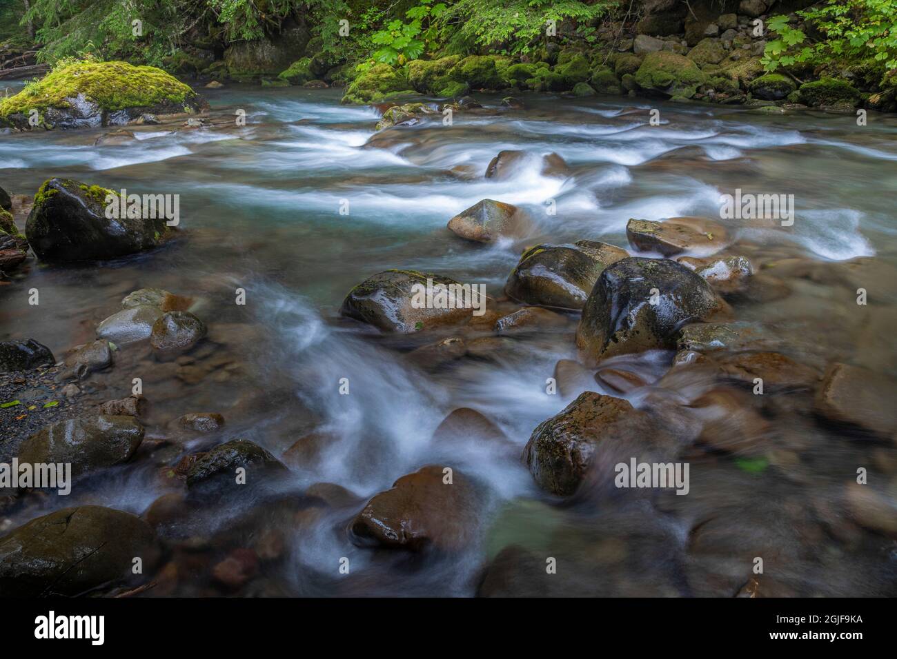 USA, Washington State, Olympic National Park. Dungeness River rapids ...