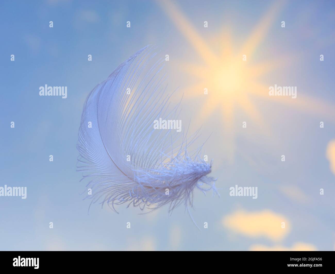 Falling feather hi-res stock photography and images - Alamy