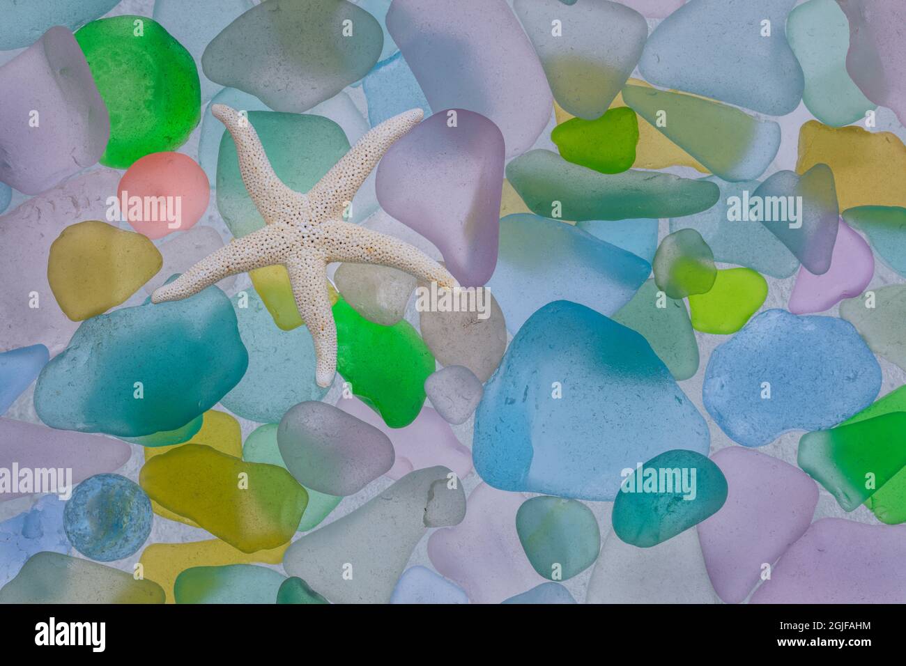 USA, Washington State, Seabeck. Starfish and beach glass close-up Stock ...