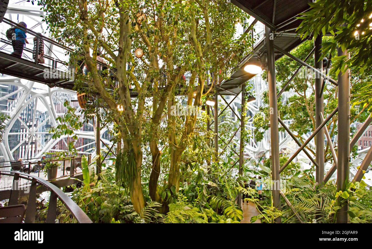 USA, Washington State, Seattle. A view from inside of the Amazon ...