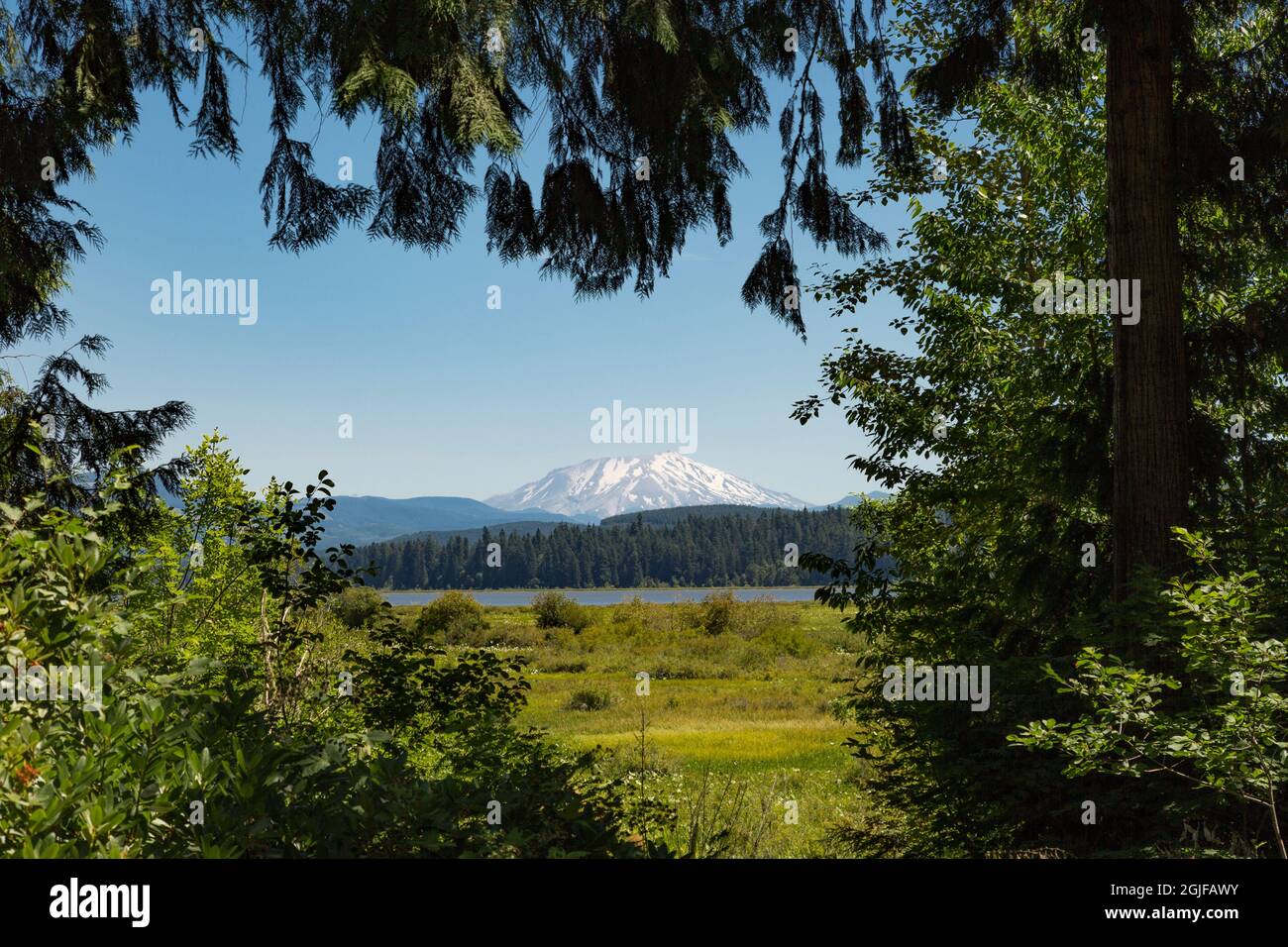 USA, Washington State, Skamania County. Mount St. Helens or Louwala ...