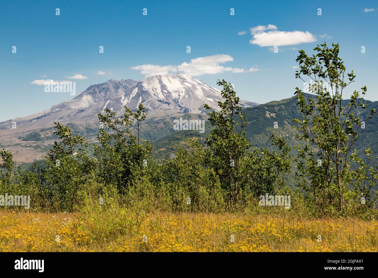 USA, Washington State, Skamania County. Mount St. Helens or Louwala ...