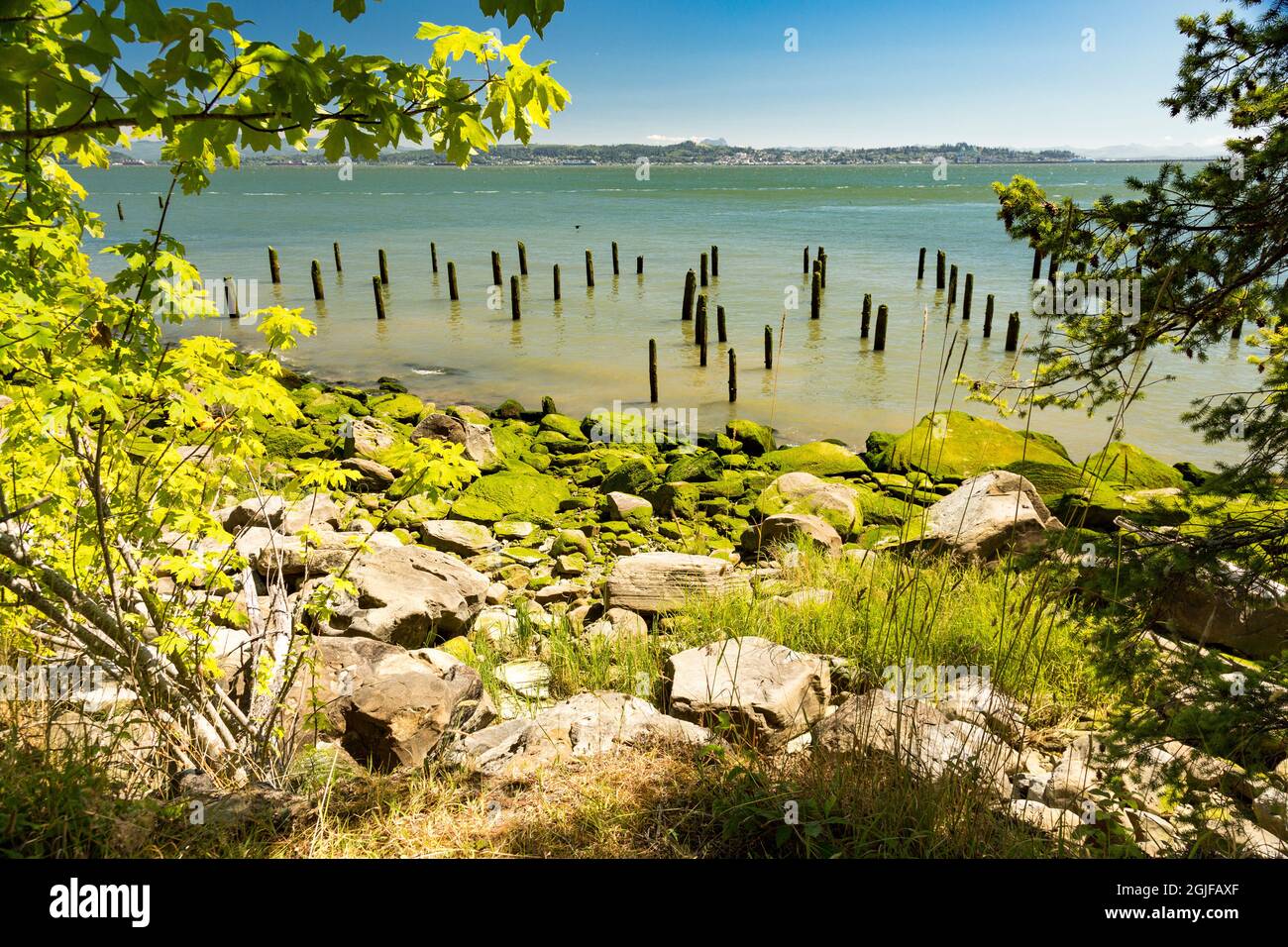 USA, Washington State, Megler. North Shore of the Columbia River ...