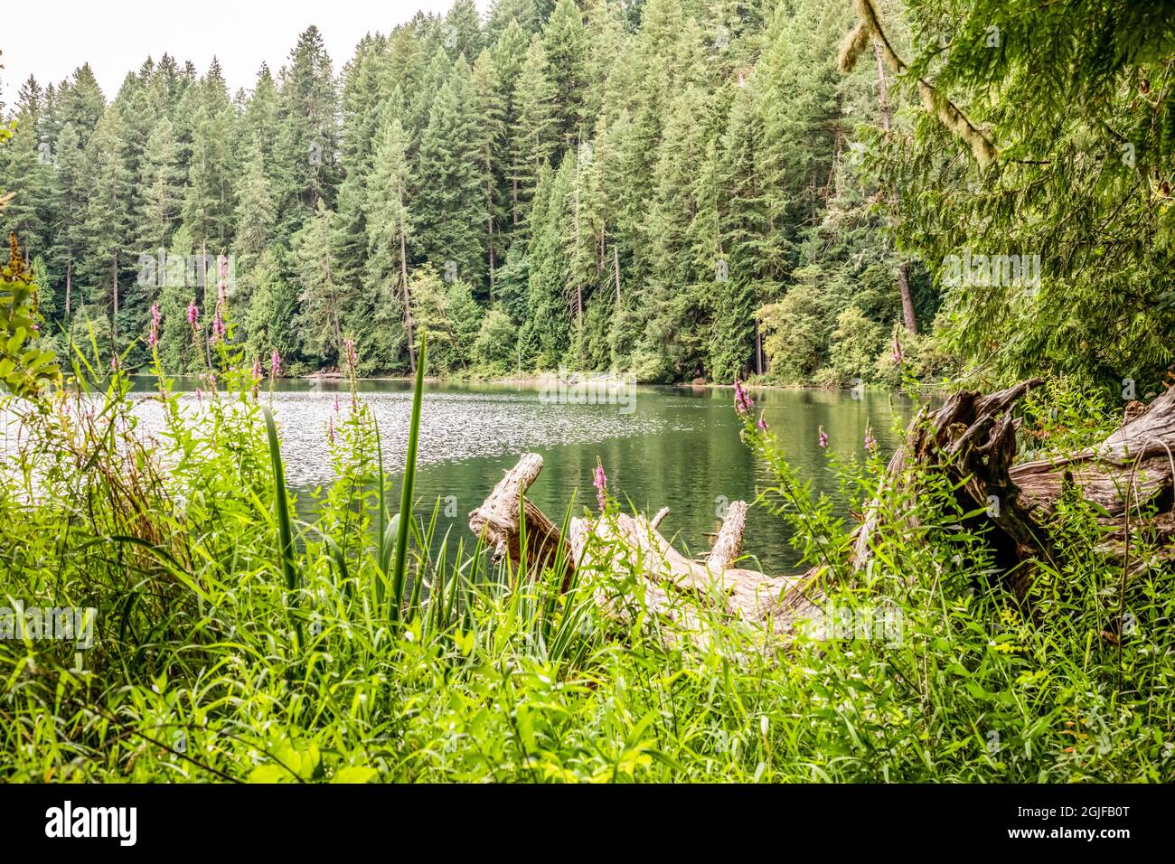 Battle ground washington hi-res stock photography and images - Alamy