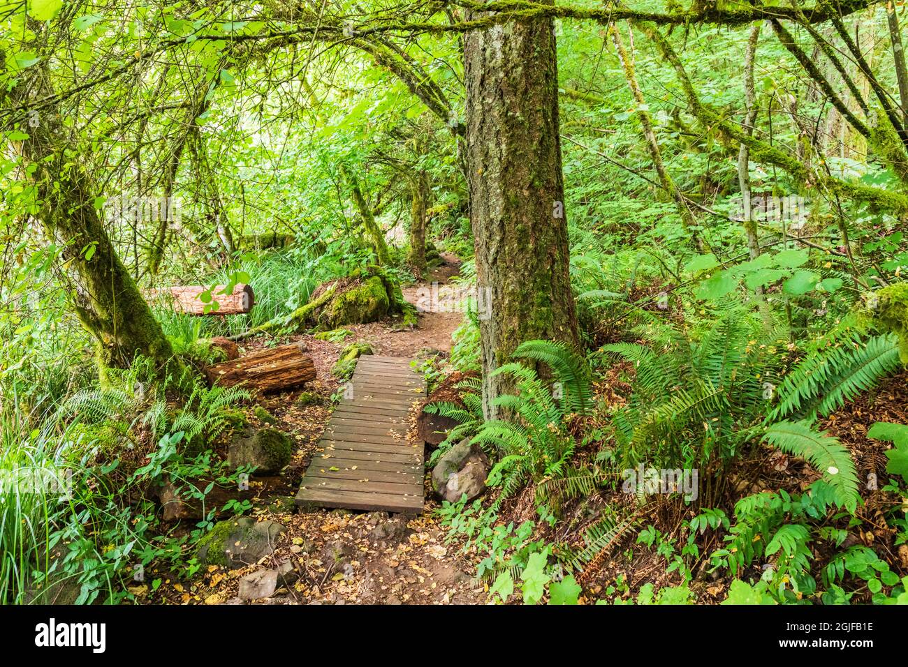 Battle ground lake state park hi-res stock photography and images - Alamy