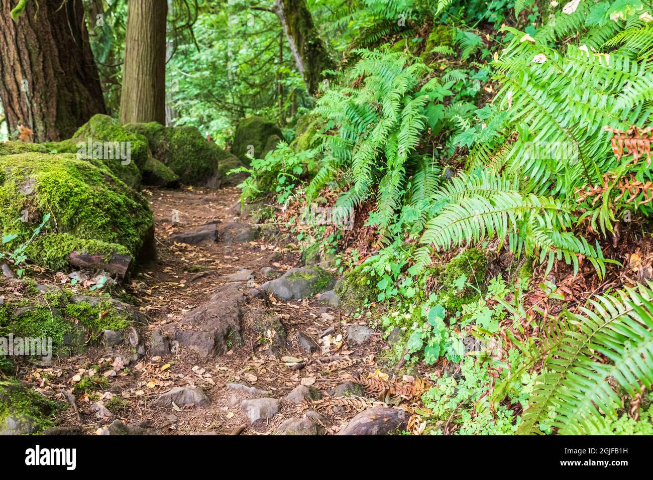 Battle ground lake state park hi-res stock photography and images - Alamy
