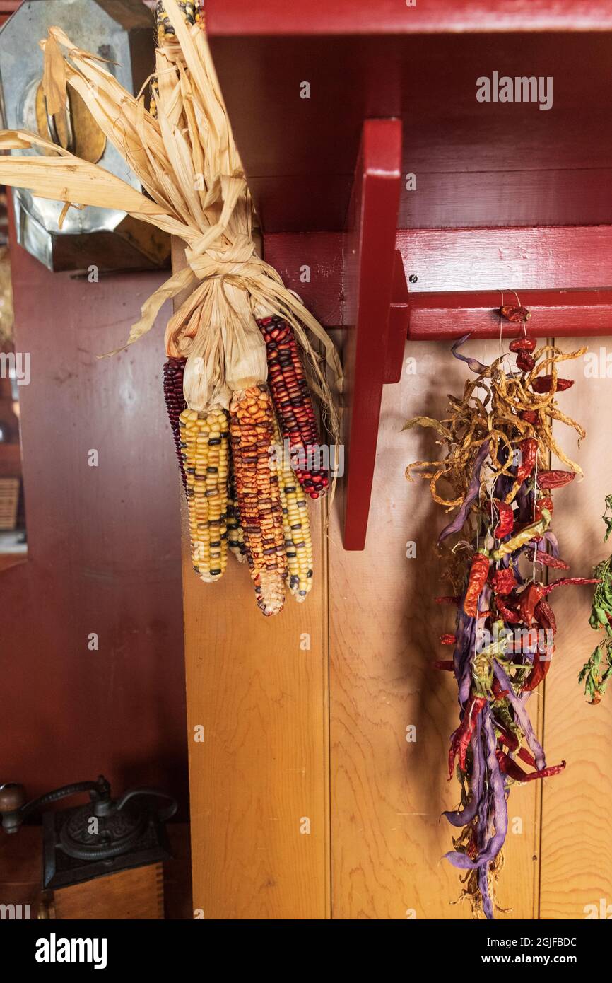 USA, Washington State, Fort Vancouver National Historic Site. Dried ...