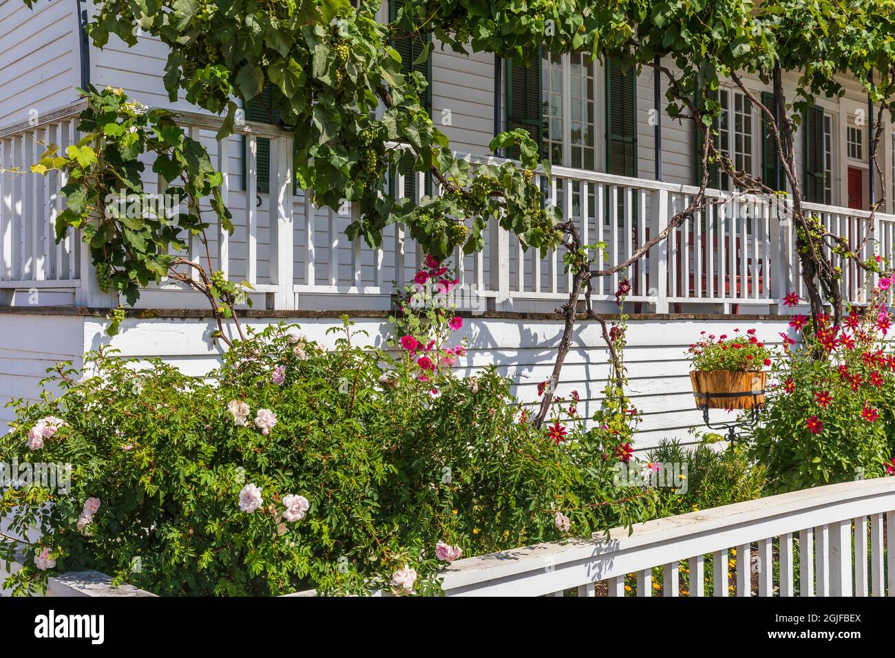 USA, Washington State, Fort Vancouver National Historic Site. Flowers ...