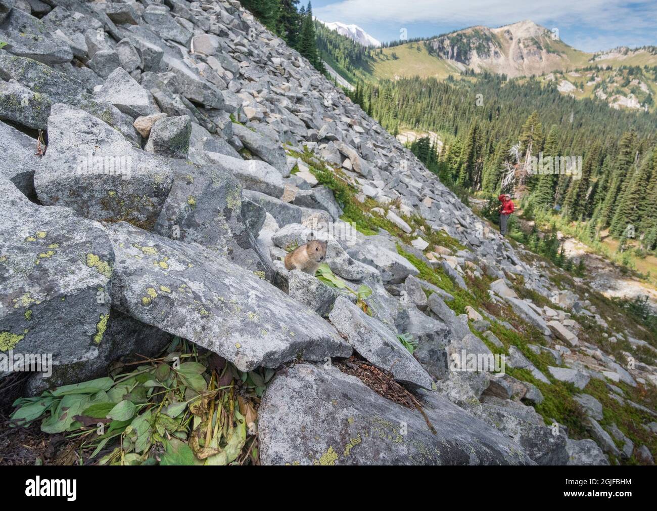 Gary hay hi-res stock photography and images - Alamy