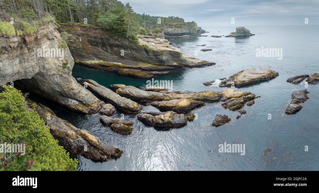 Makah Tribe Arts And Crafts